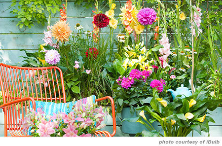 FLOWER BULBS 101: What exactly is a flower bulb? - Van Zyverden