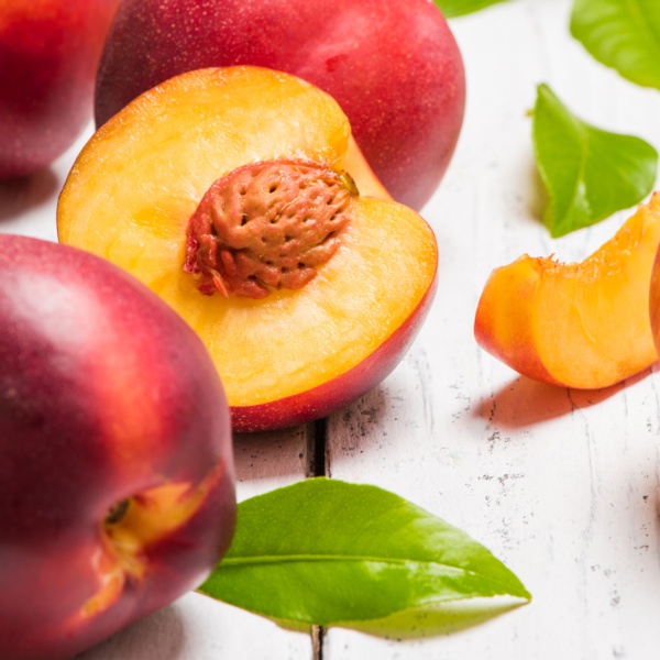 Nectarine Tree - Van Zyverden